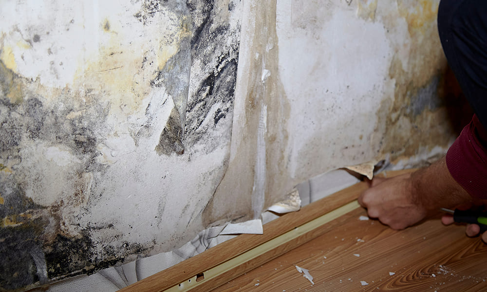 Muren injecteren tegen vocht | Vraag een vochtmeting aan